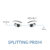 Basics of Prism - Chadwick Optical, Inc.